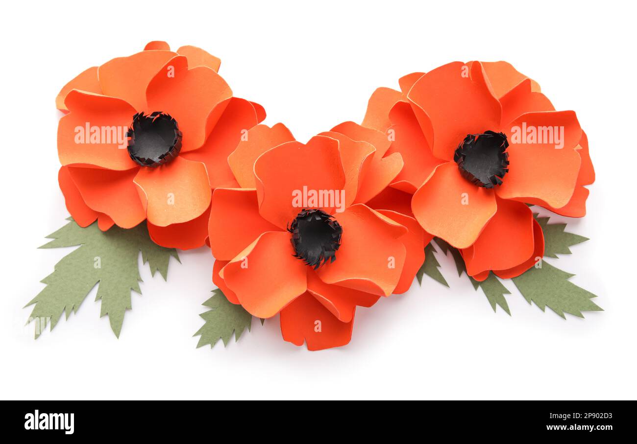 Paper poppy flowers with leaves on white background Stock Photo - Alamy