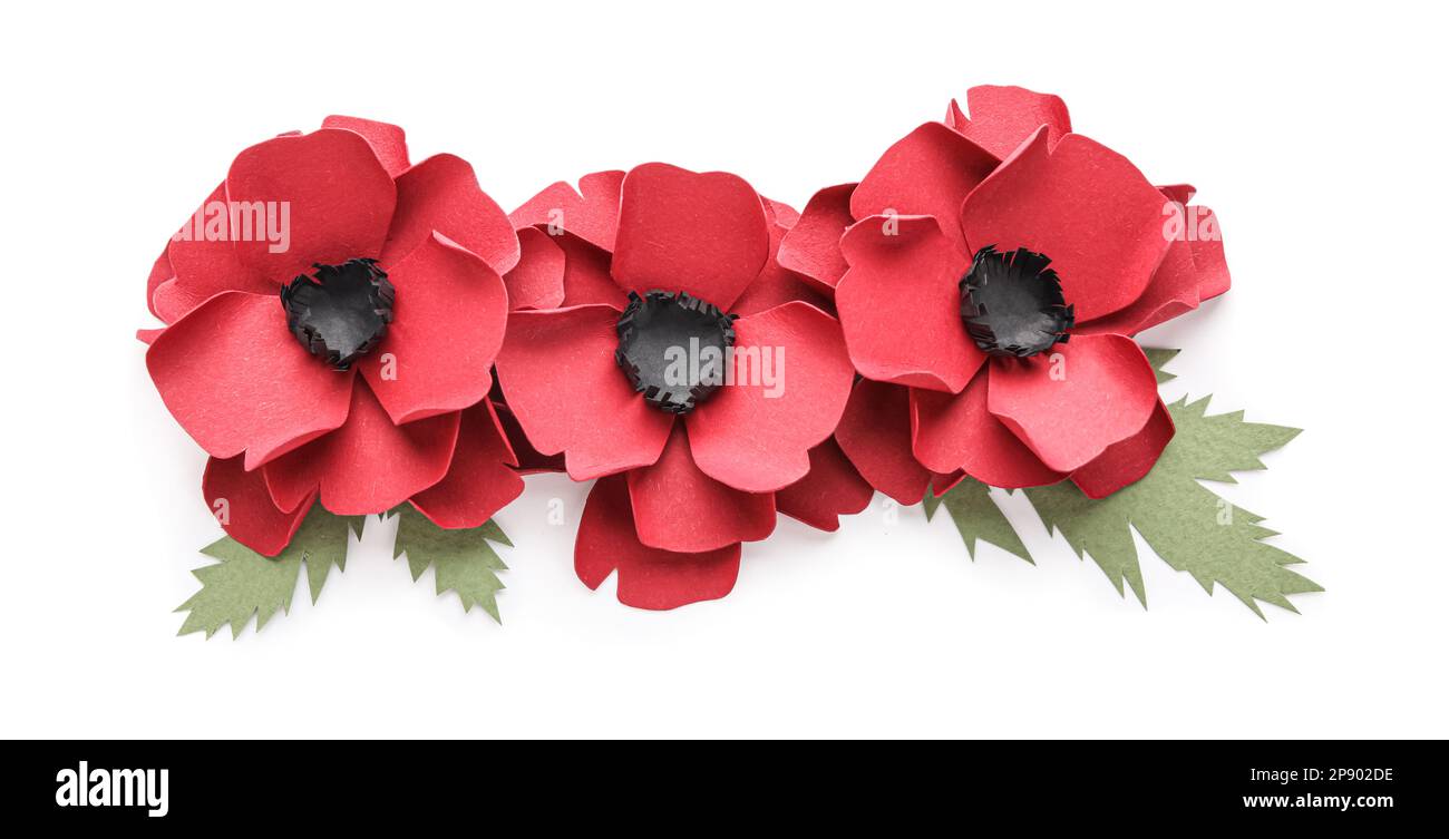 Remembrance day poppy black and white Cut Out Stock Images & Pictures ...