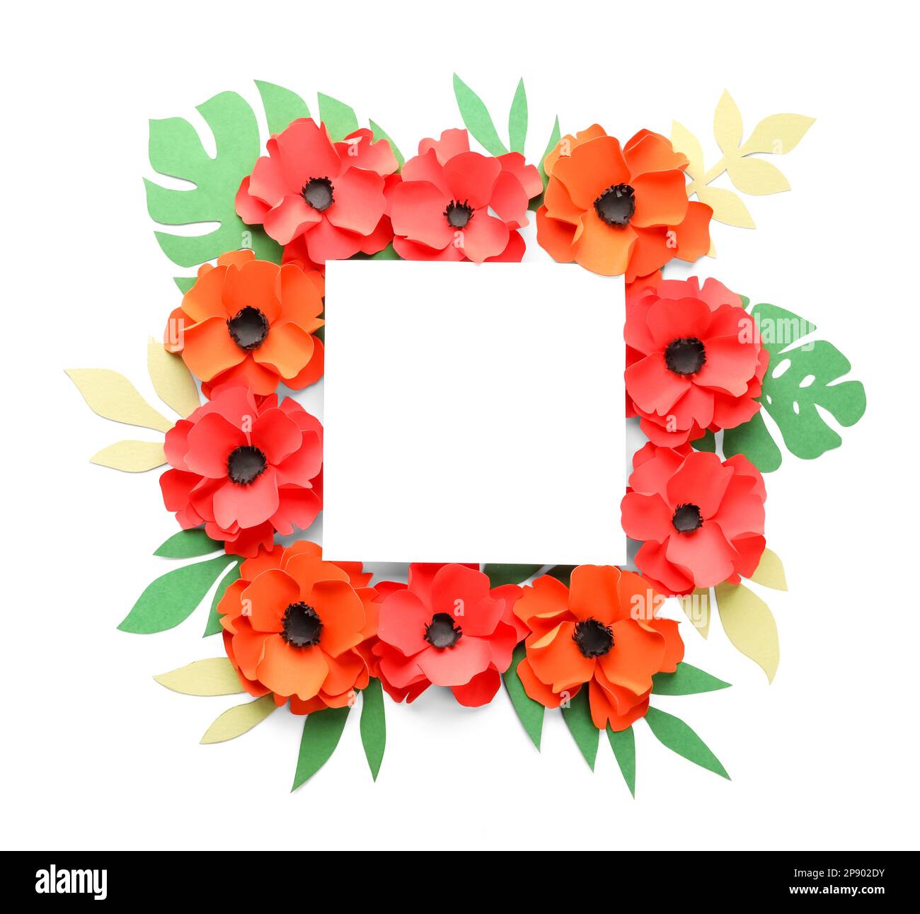 Blank paper sheet with poppy flowers and leaves on white background ...