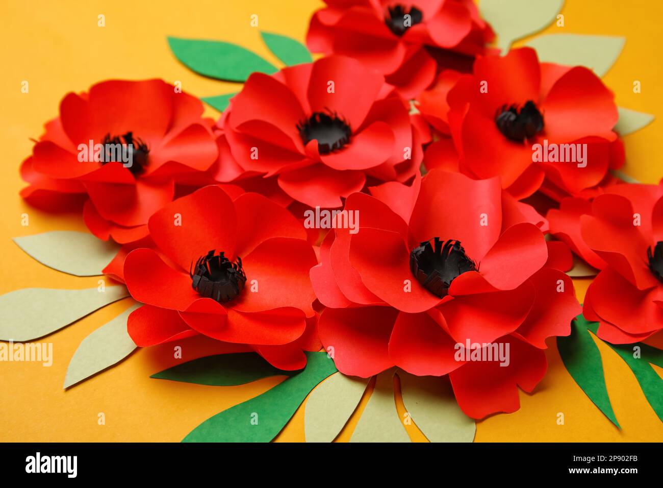 Paper poppy flowers with leaves on color background Stock Photo - Alamy