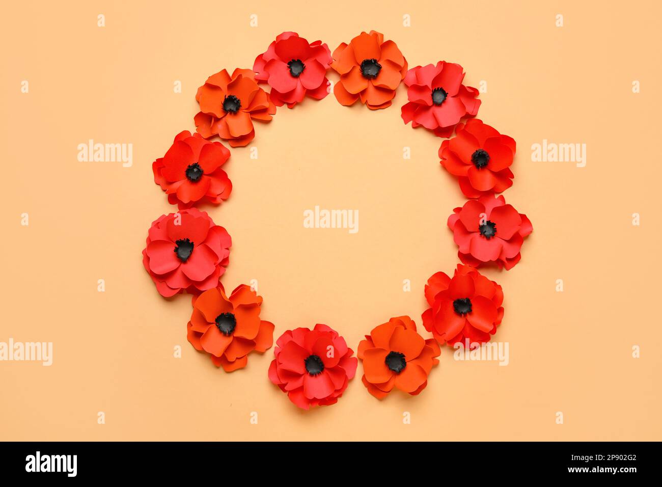 Frame made of paper poppy flowers on beige background Stock Photo - Alamy