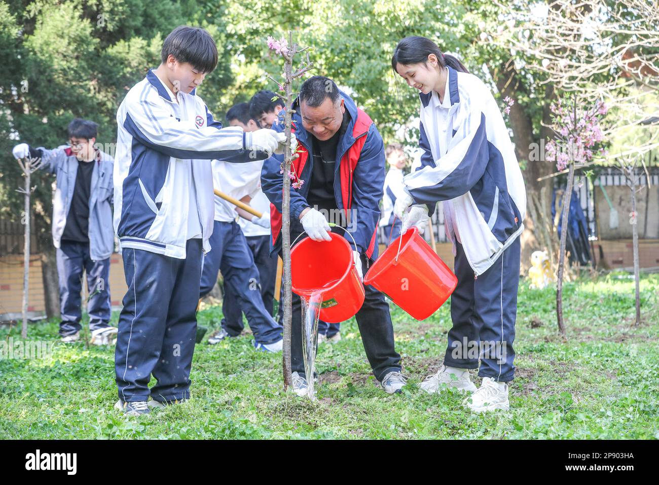China arbor day hi-res stock photography and images - Alamy