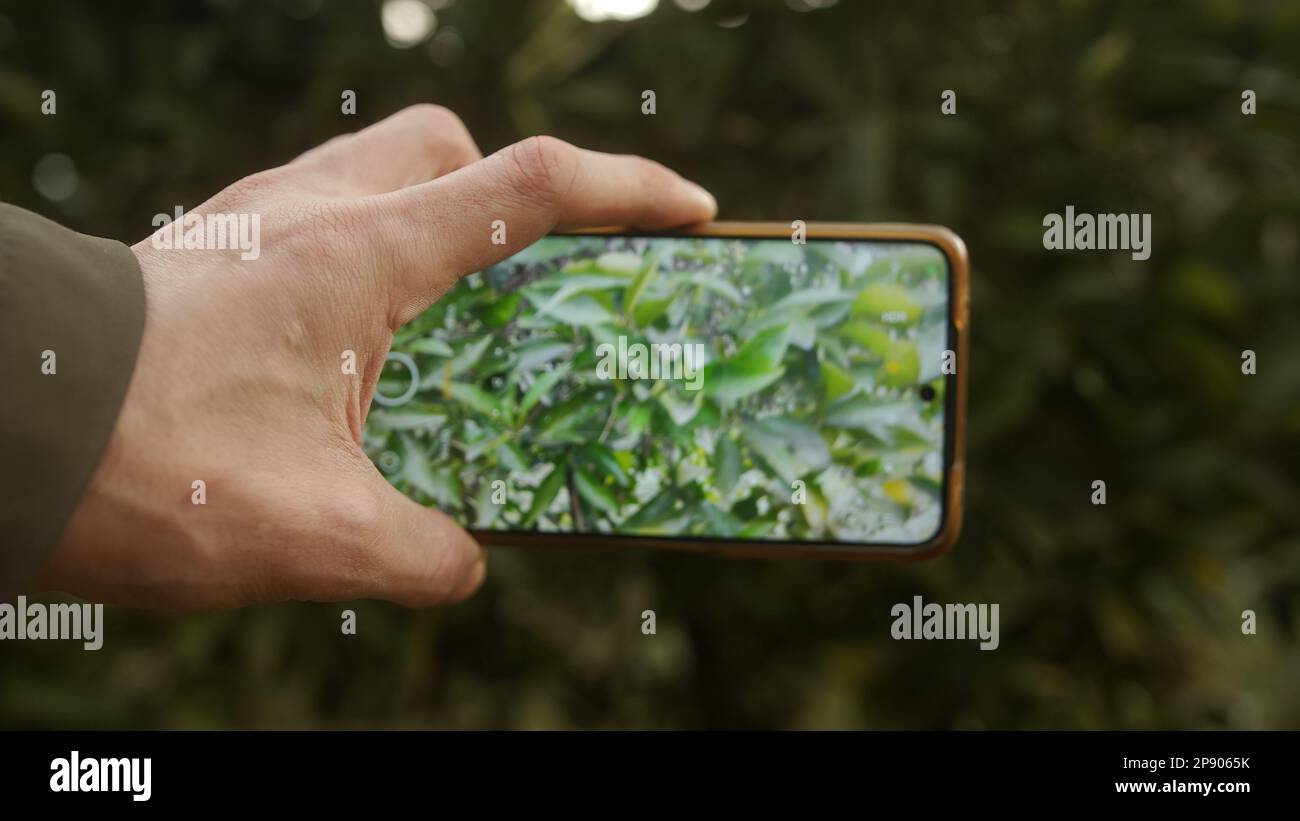 Immersing Yourself in Nature with Your Smartphone: Capturing Trees on ...