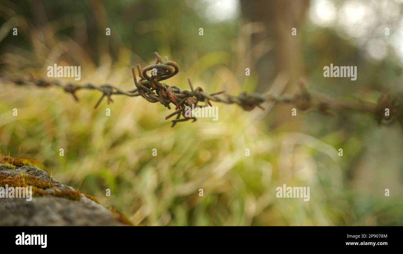 Rustic Fence Close-up: Weathered Barbed Wire Against Natural Background ...