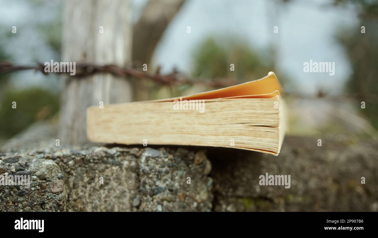 A Close-Up of an Old Book on a Wall with Closed Pages, High Aperture ...