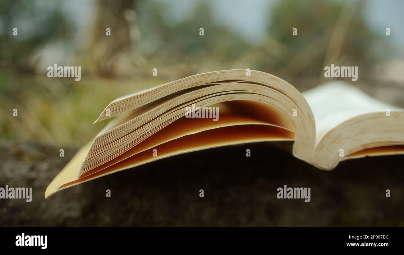 Open to interpretation hi-res stock photography and images - Alamy