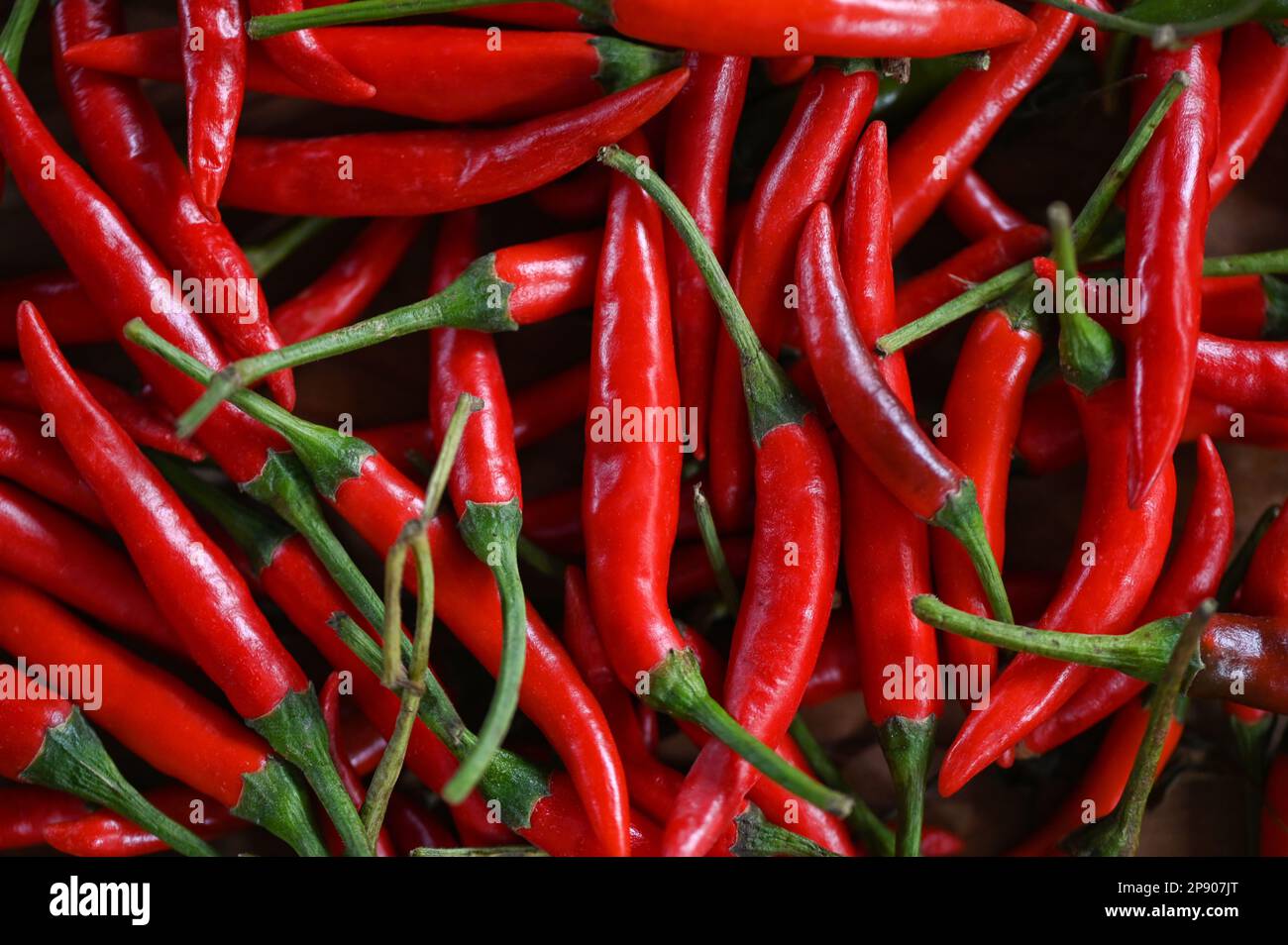 Chili pepper, Red hot chilli peppers pattern texture background. Close ...