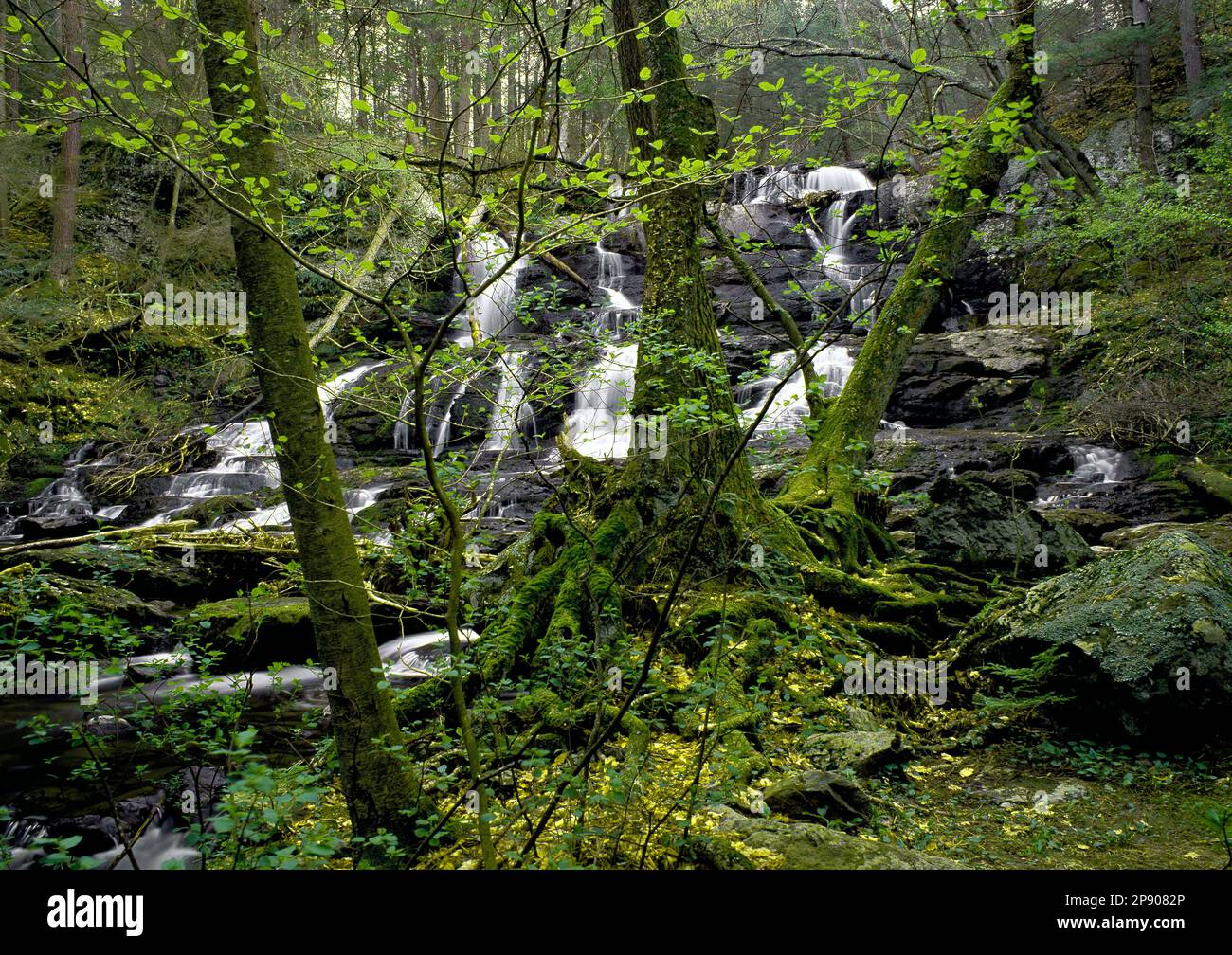 Upper Indian Ladder Falls or Middle Falls, Delaware Water Gap National ...