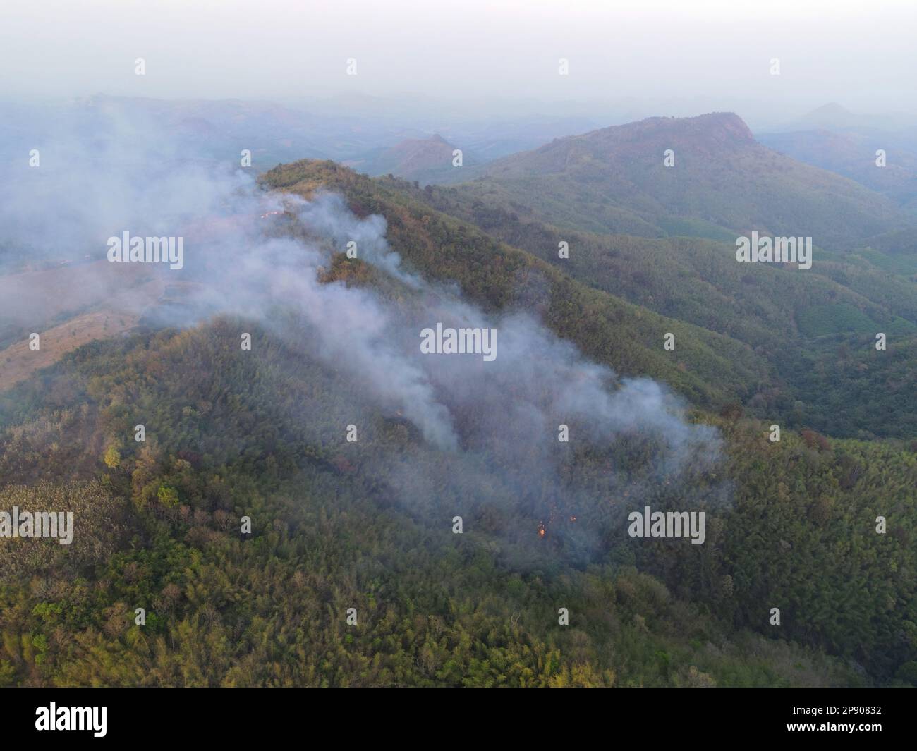 wildfire on the mountain fire burning forest dry bamboo forest at asian ...
