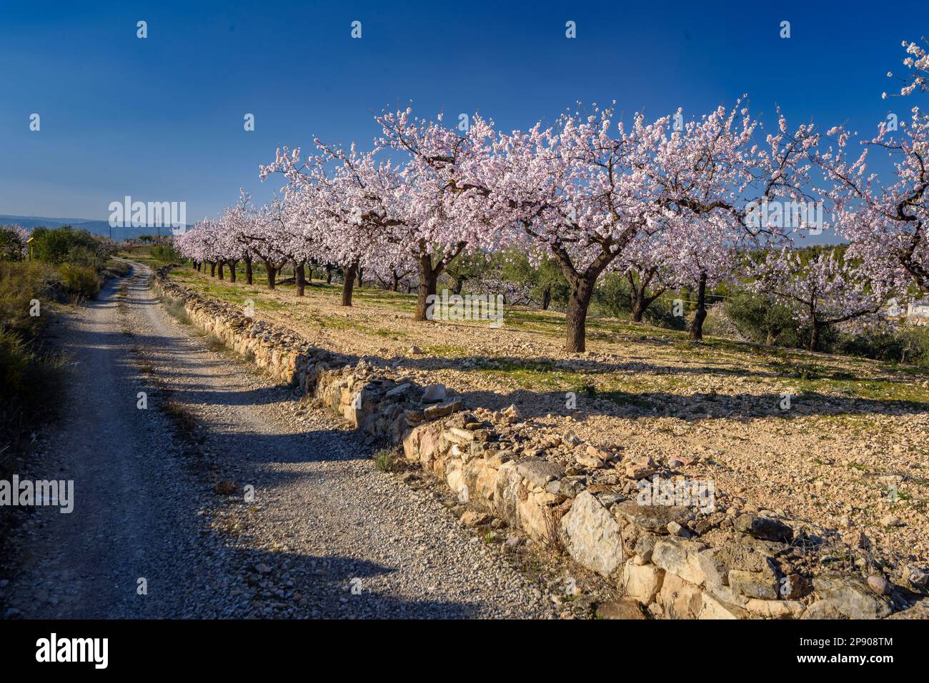 Campos de la arquitectura hi-res stock photography and images - Alamy