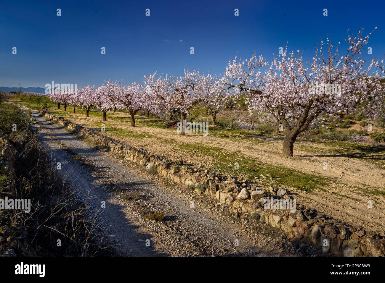 Campos de la arquitectura hi-res stock photography and images - Alamy