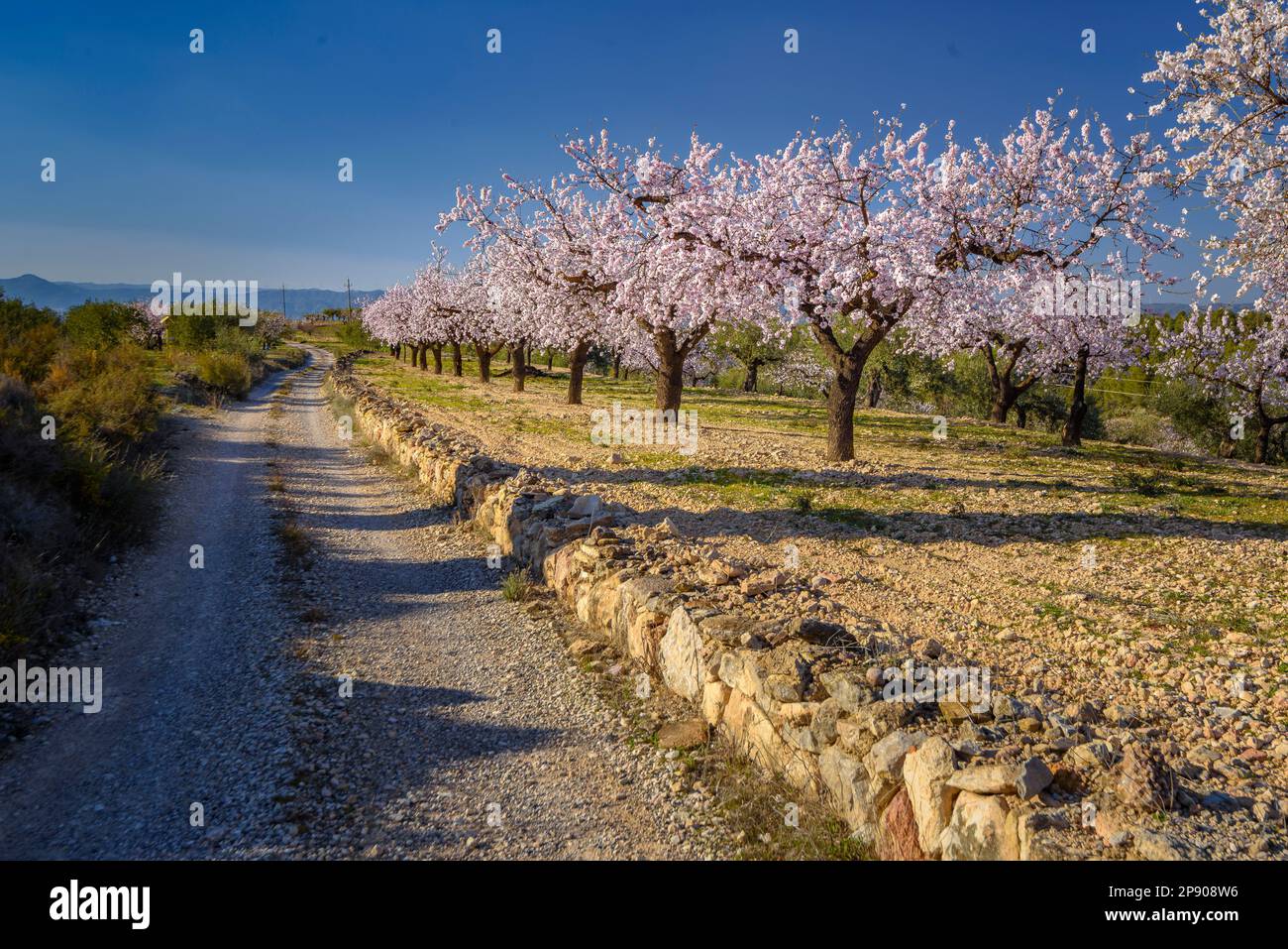 Campos de la arquitectura hi-res stock photography and images - Alamy