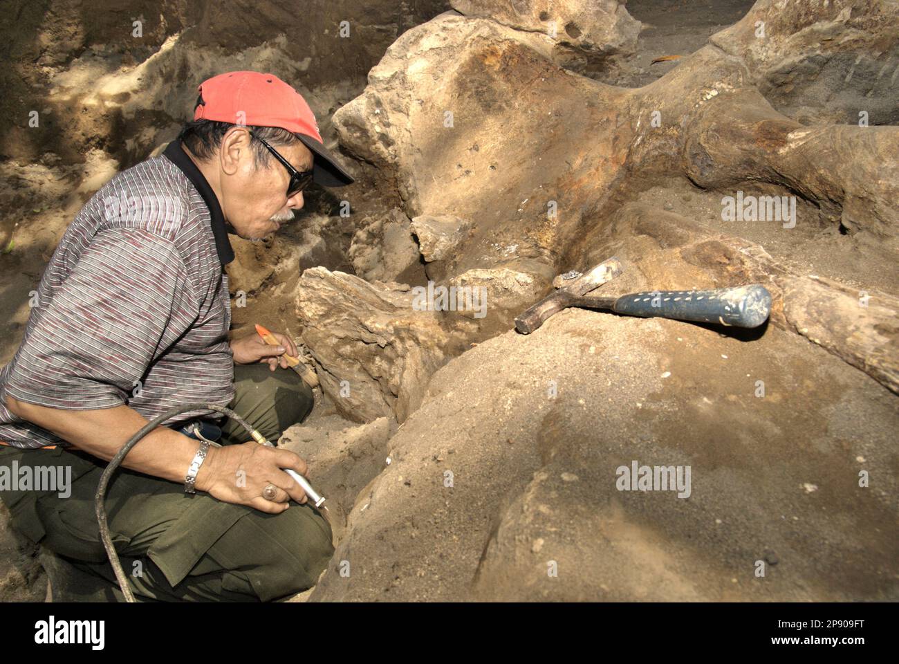 Vertebrate research team hi-res stock photography and images - Alamy