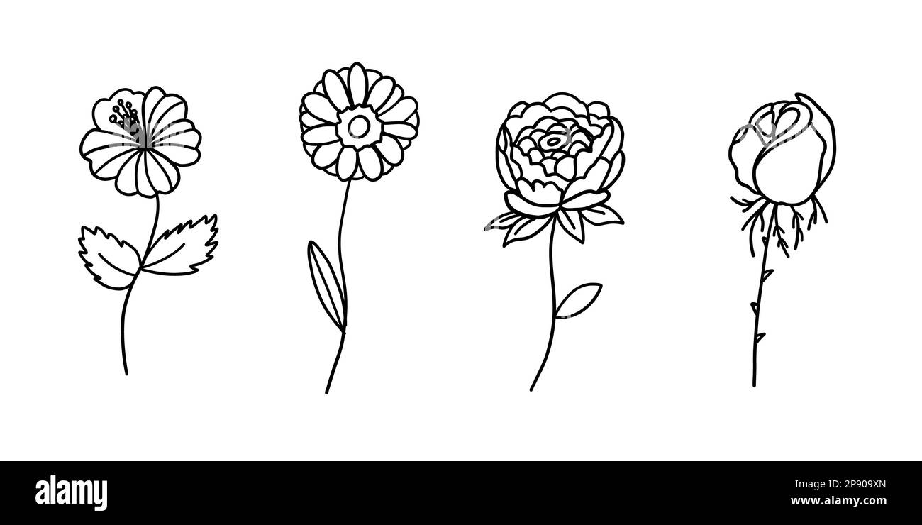 Flowers collection in outline doodle flat style. Set of simple floral ...