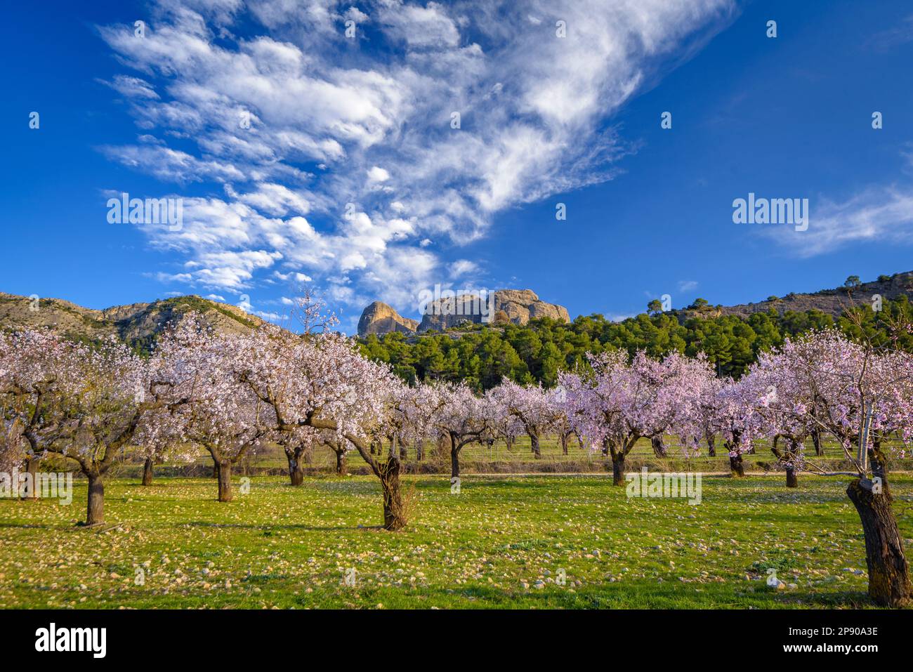 Landscape roques de benet hi-res stock photography and images - Alamy