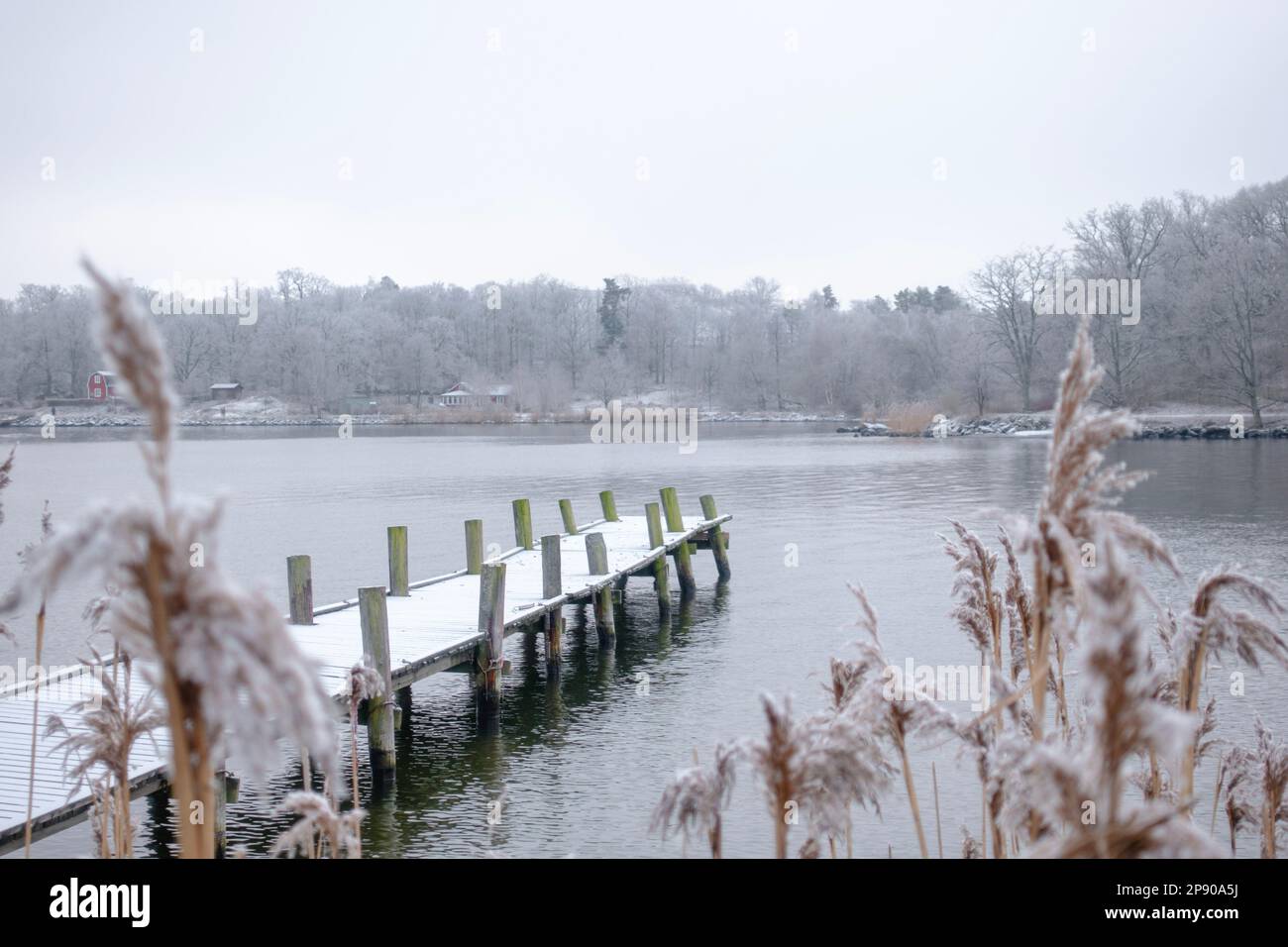 Snow covered wooden jetty in frozen calm water lake with calming orange ...