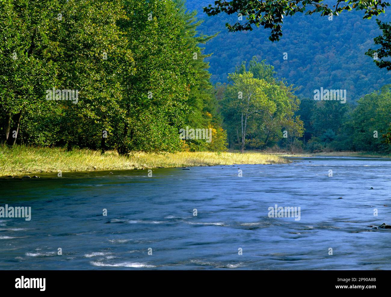 The Sinnemahoning Creek flowing through Sinnemahoning State Park in ...