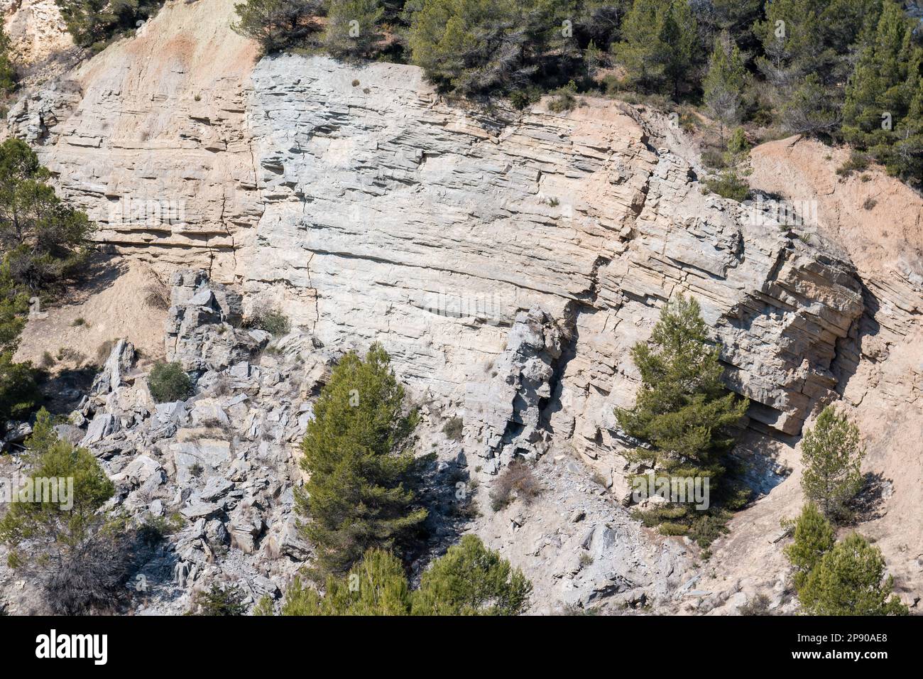 old quarry, aspect of the abandoned quarry. Mesozoic basement overlain ...