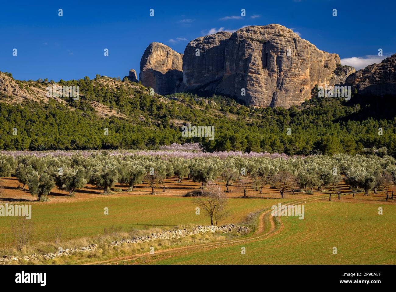 Sendero natural acantilado hi-res stock photography and images - Alamy