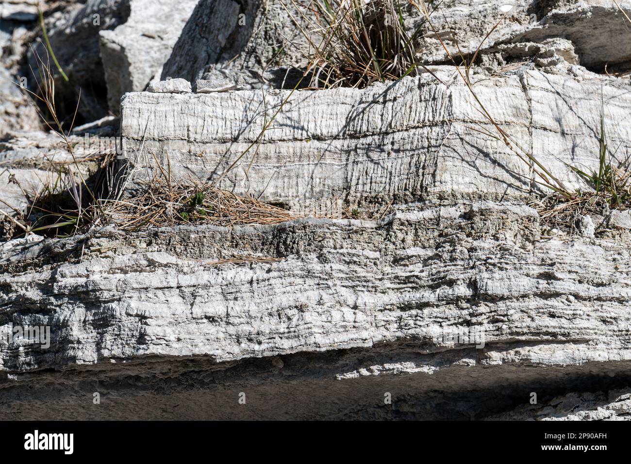 old quarry, Mesozoic basement overlain by a Miocene sequence in ...