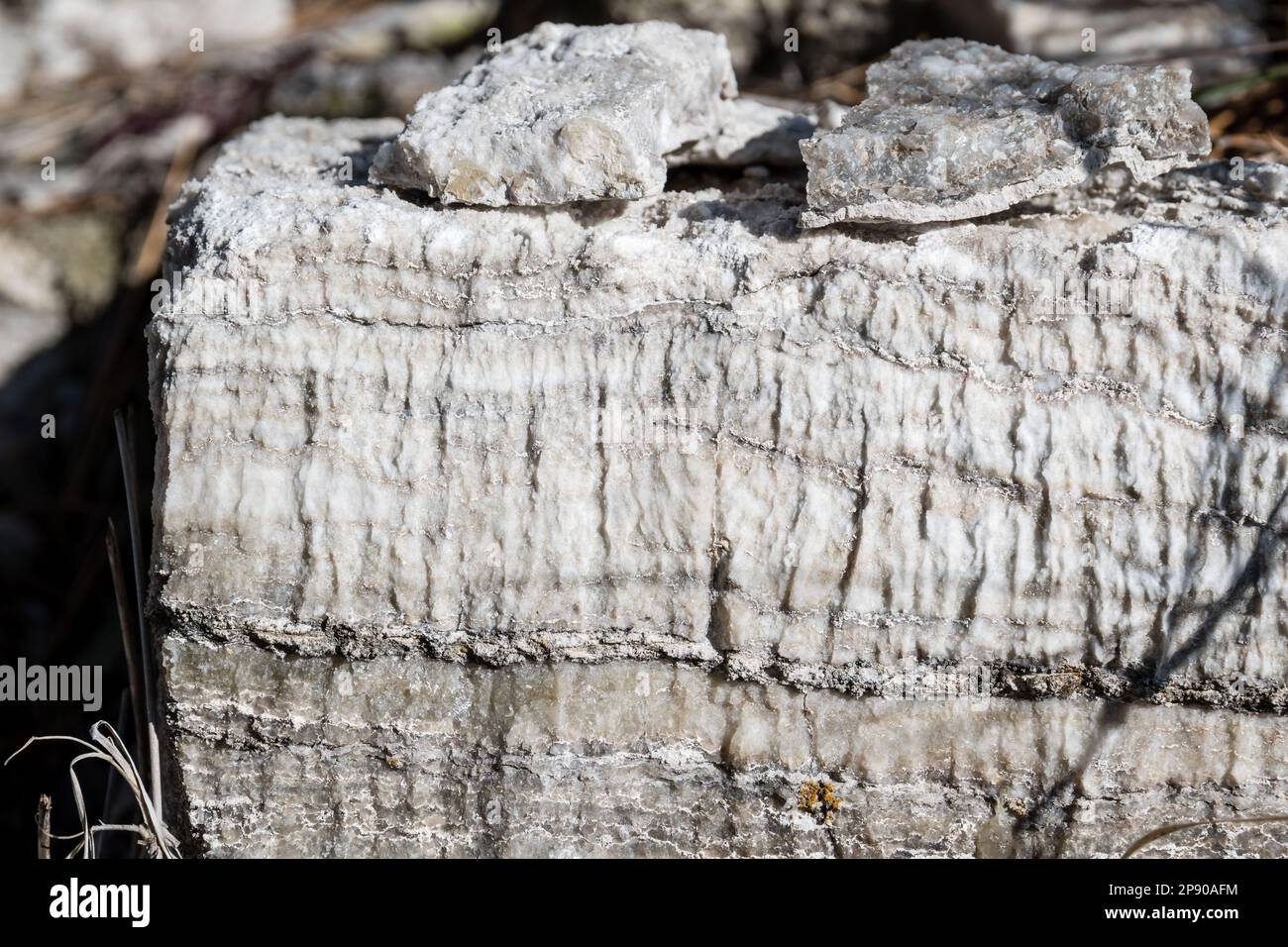 old quarry, Mesozoic basement overlain by a Miocene sequence in ...