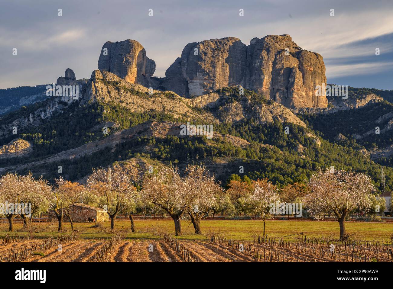 Spring sunset at the Roques de Benet rocks, in Els Ports Natural Park ...