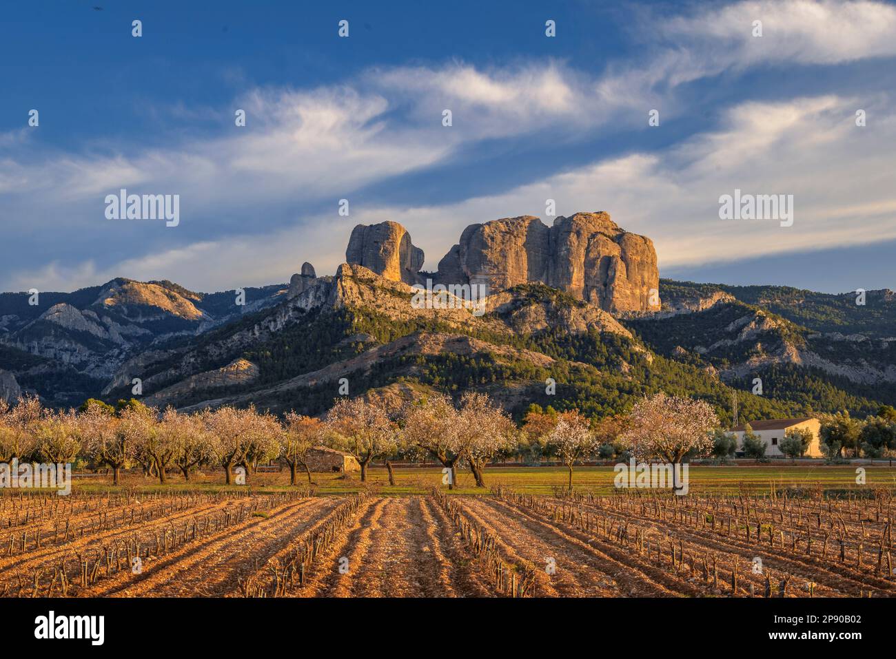 Spring sunset at the Roques de Benet rocks, in Els Ports Natural Park ...