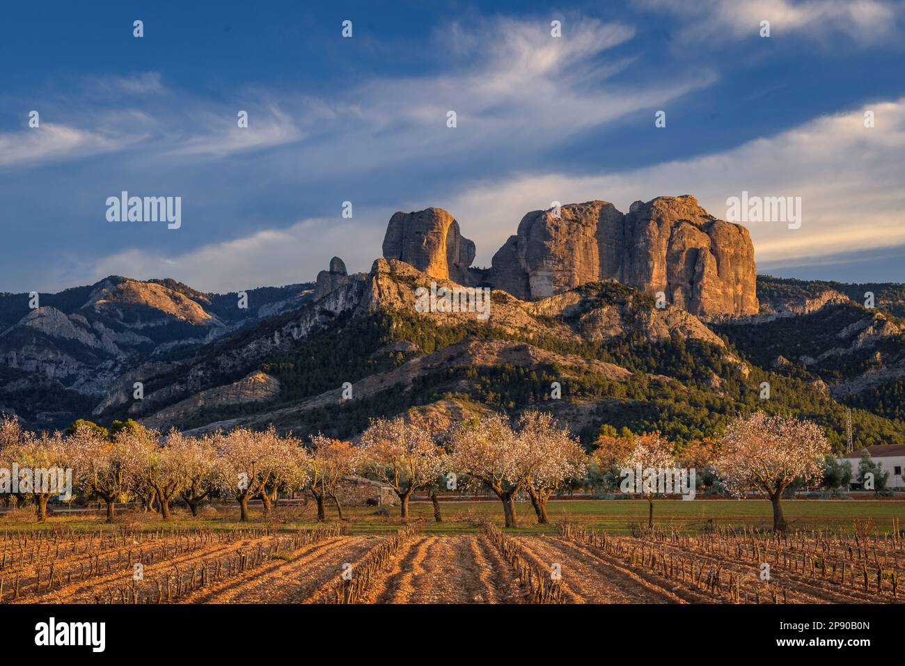 Spring sunset at the Roques de Benet rocks, in Els Ports Natural Park ...