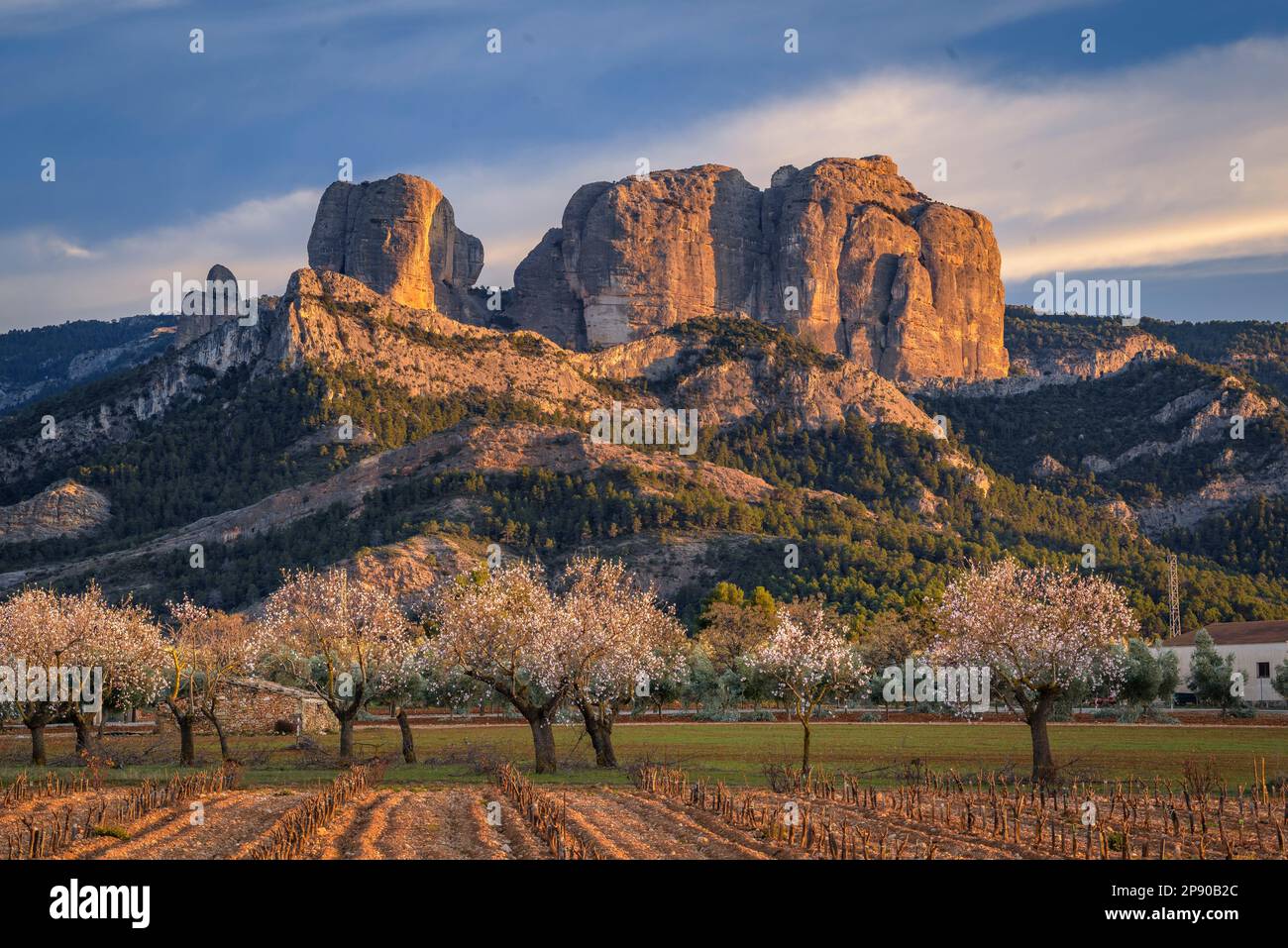 Campo de rocas hi-res stock photography and images - Alamy