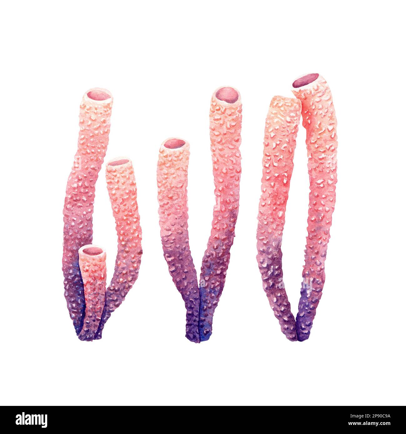 A set of sponge tube corals. Watercolor illustration isolated on white ...