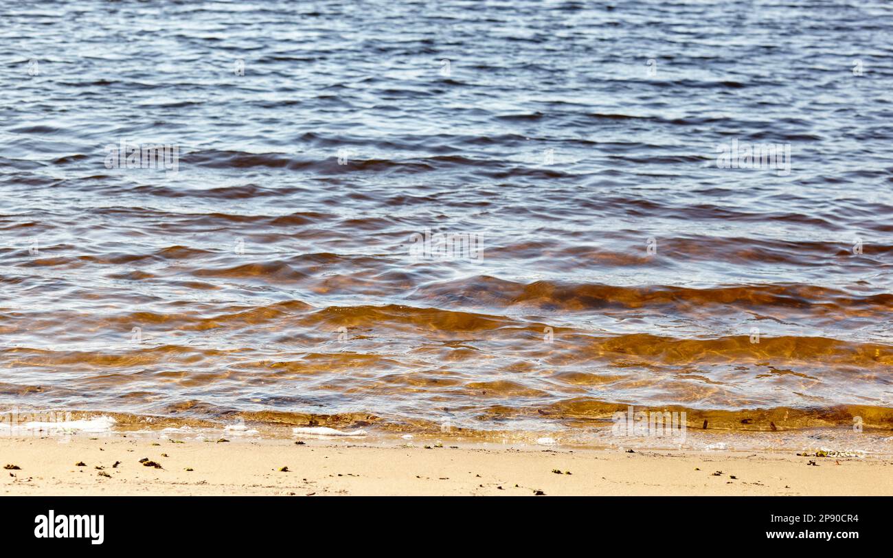 Water's edge on the shore. Wave of blue sea on sandy beach. Beautiful ...