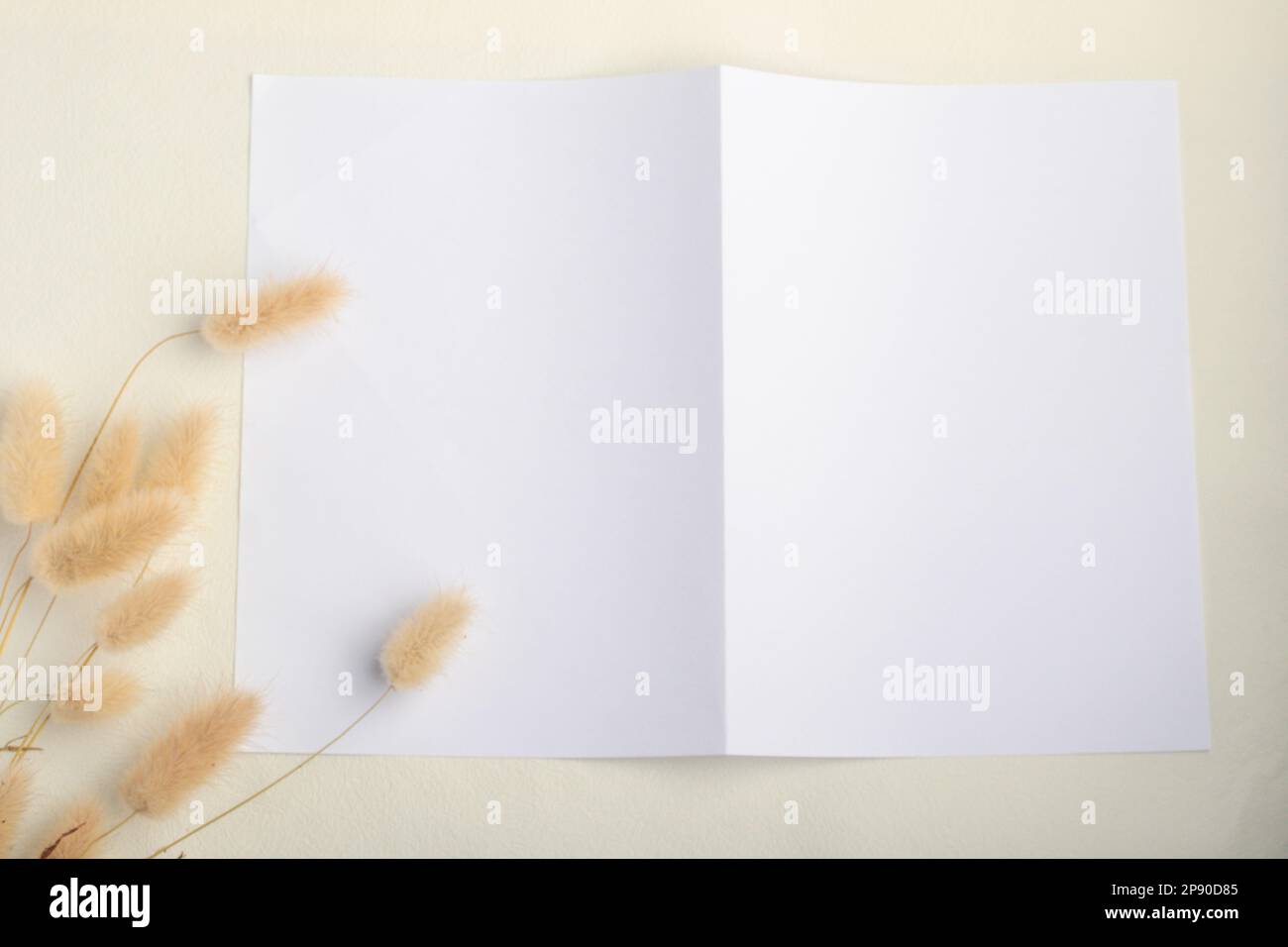 Vertical canvas mockup paper hi-res stock photography and images - Alamy
