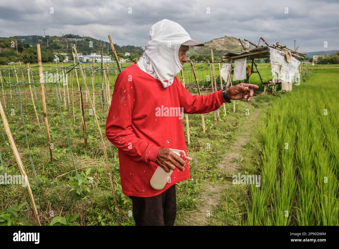 Filipino Farmers Problems
