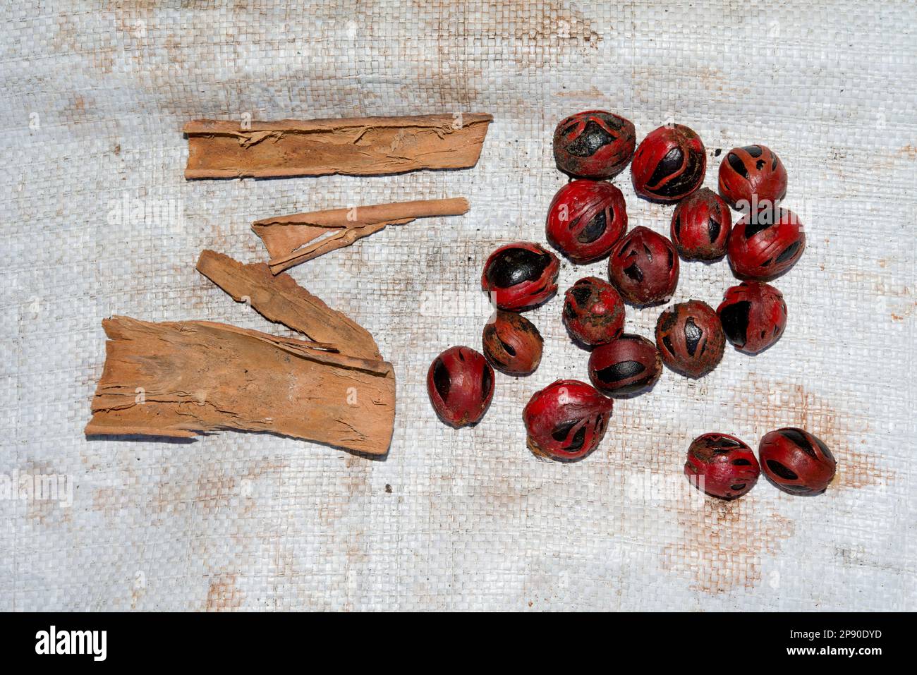 Spices, including cinnamon bark and nutmeg mace, Banda Neira, Moluccas ...