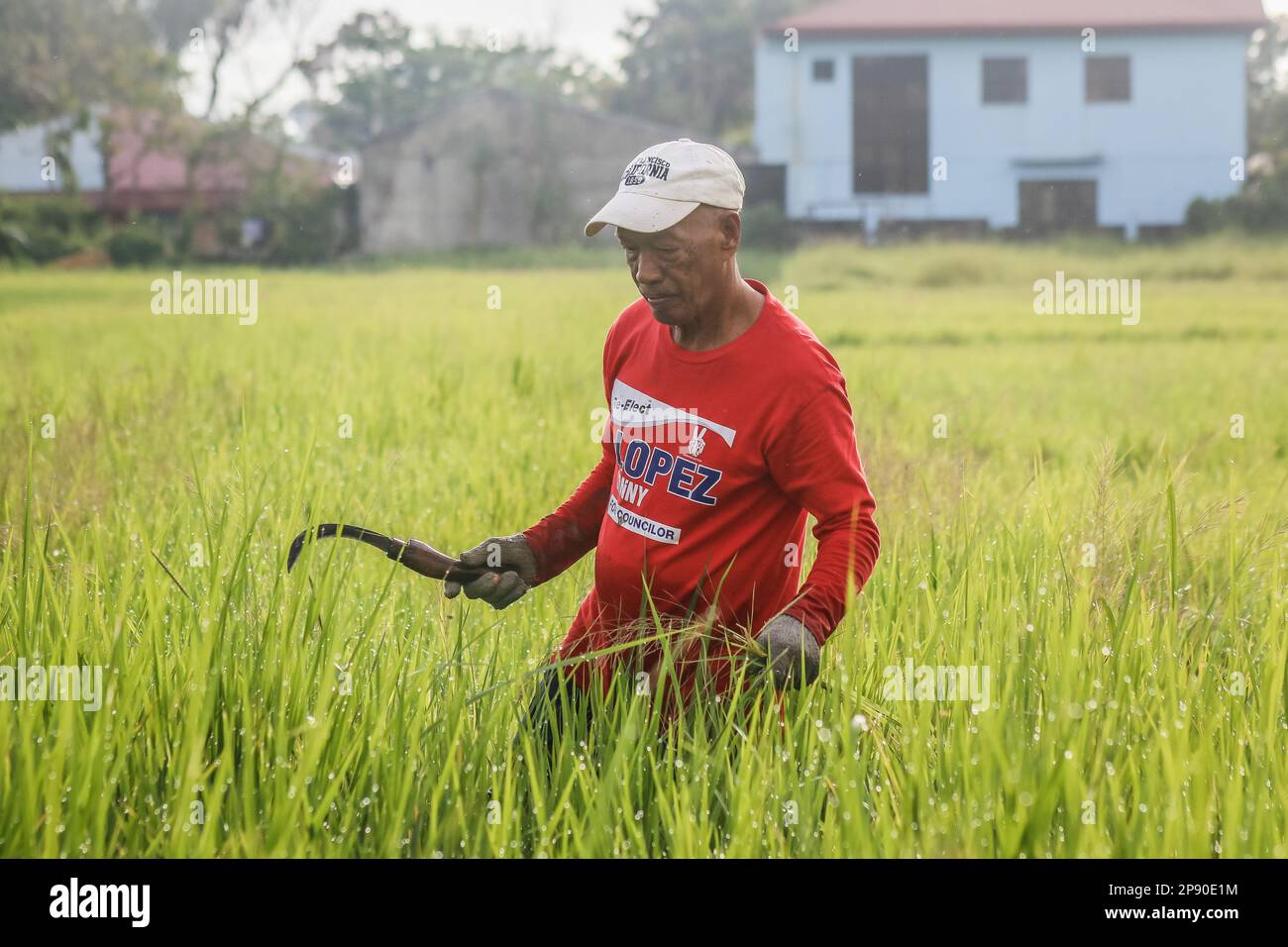 Filipino Farmers Problems