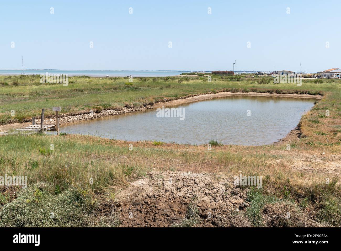 French traditional fields salt marsh in the Ile de Noirmoutier France ...