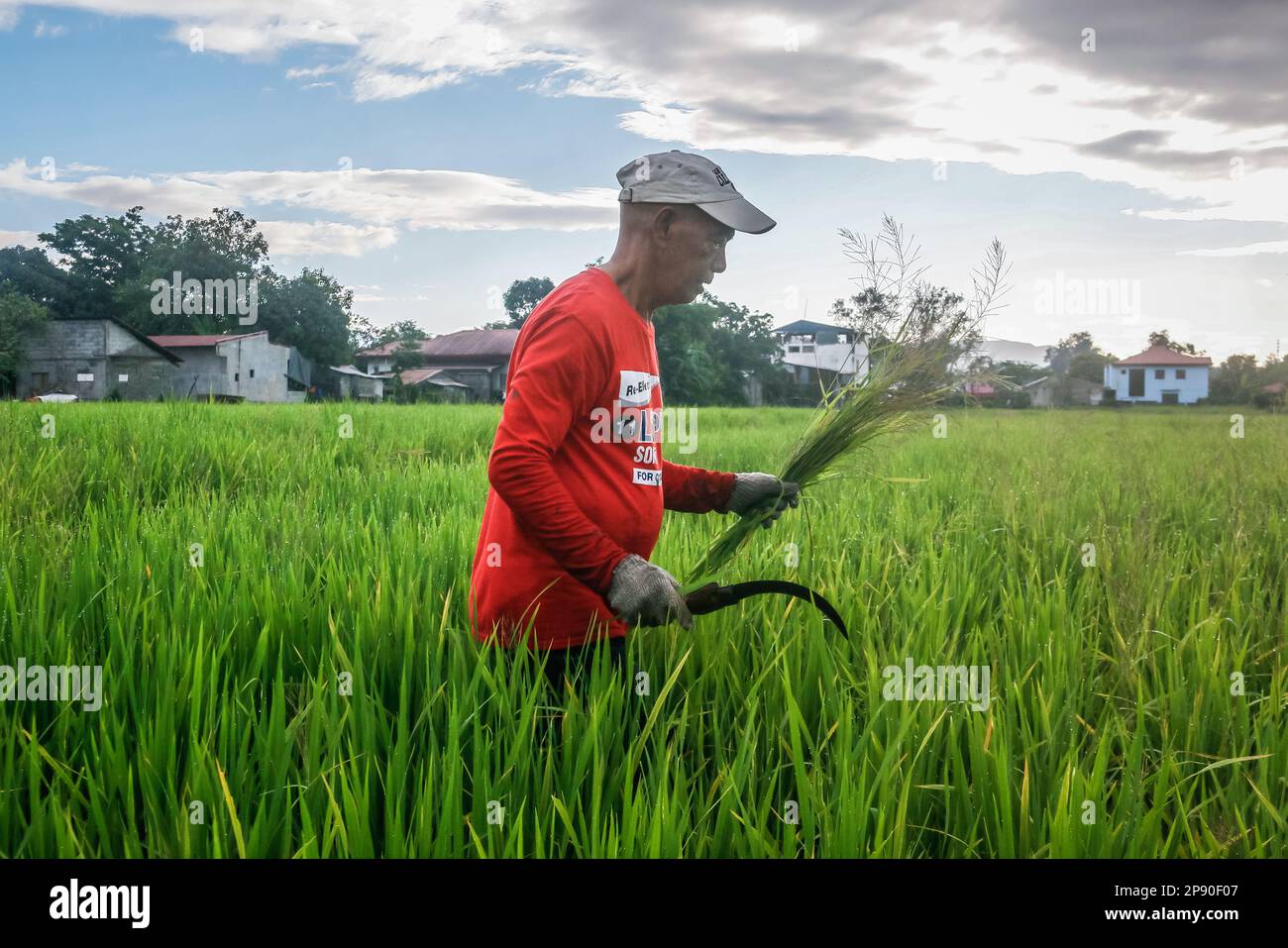 March 10, 2023, Teresa, Rizal, Philippines: Filipino farmer works on a ...