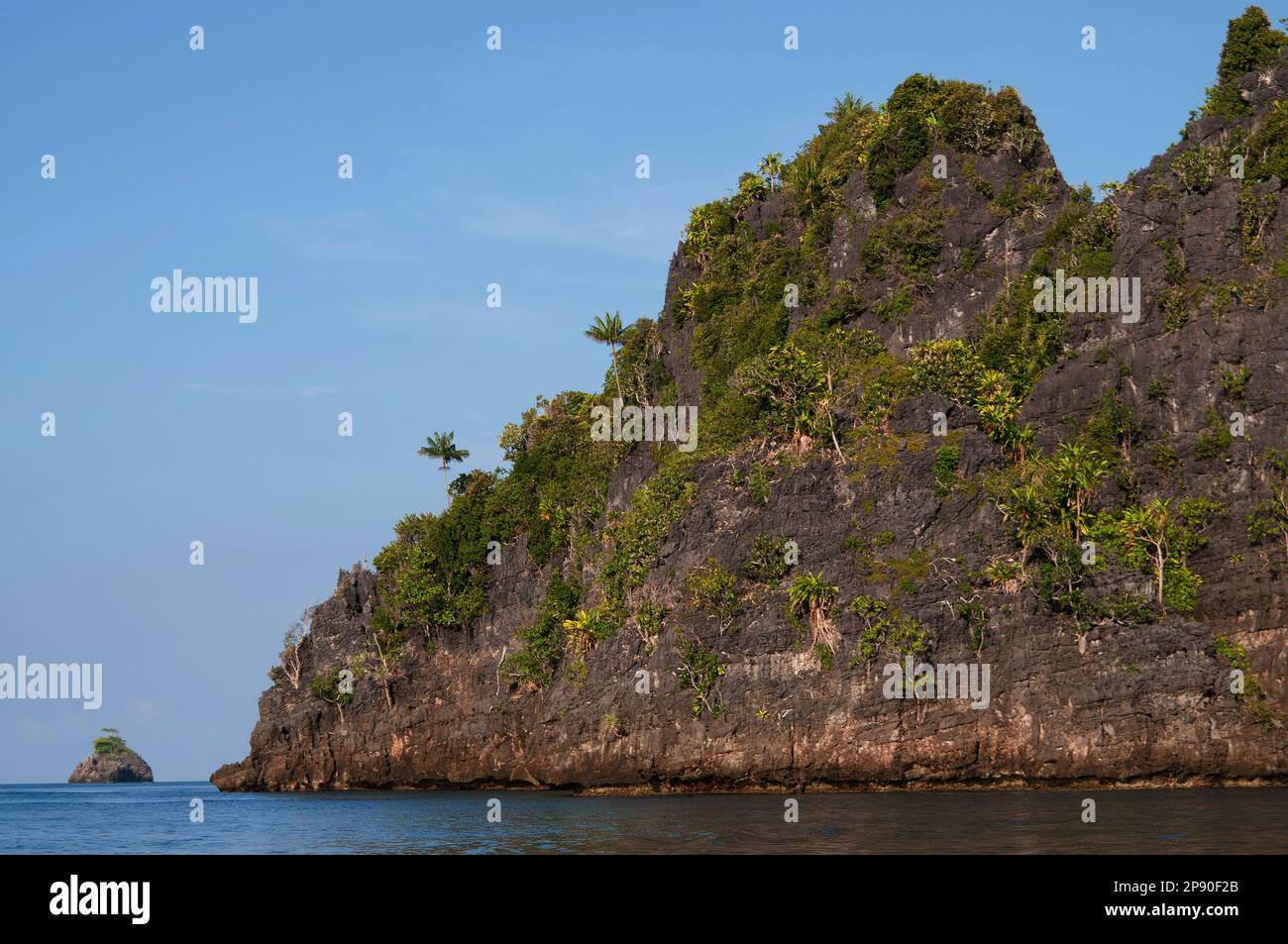 Limestone pinnacle island, Raja Ampat, West Papua, Indonesia Stock ...