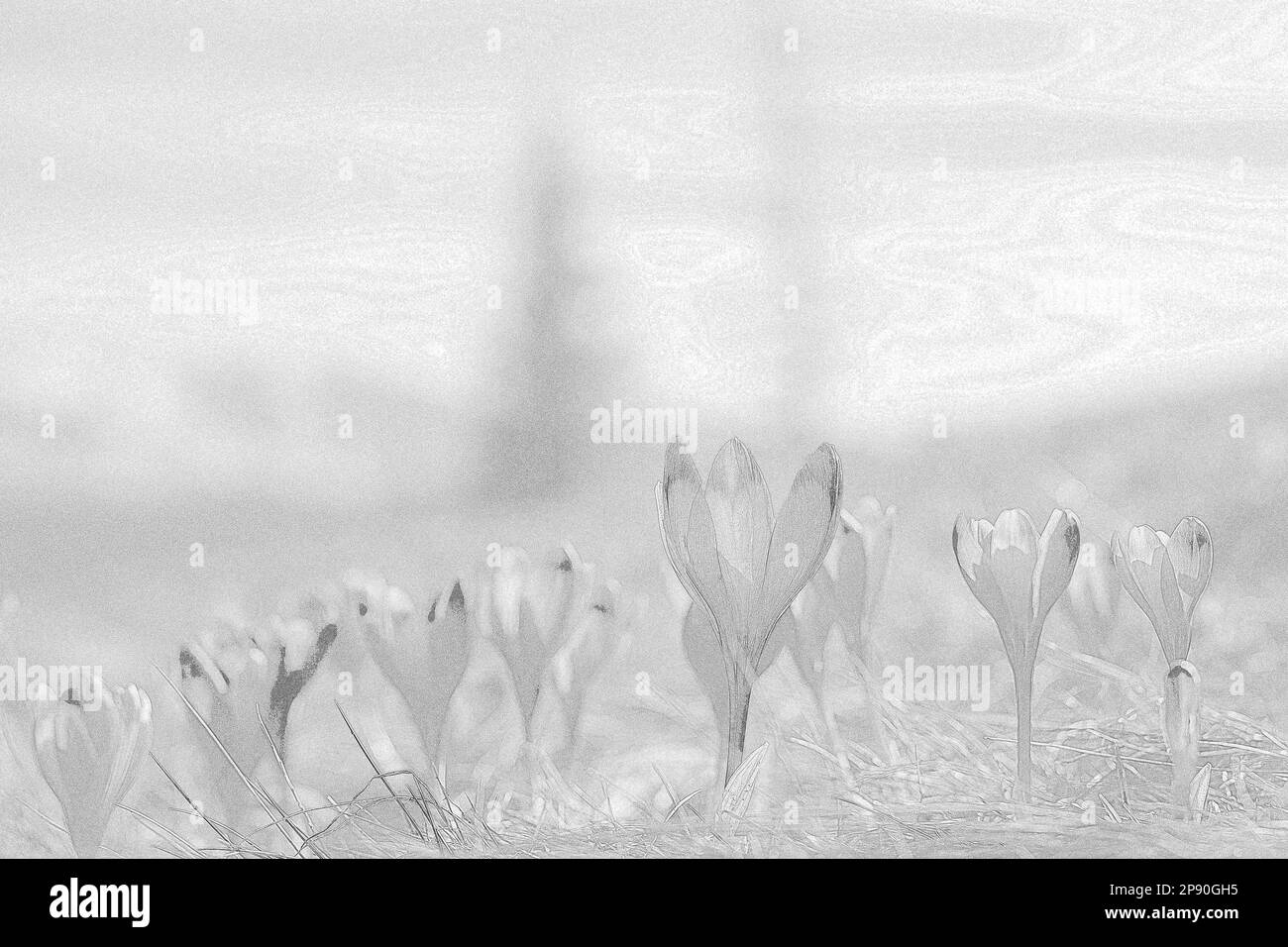 Realistic Sun Pencil Drawing