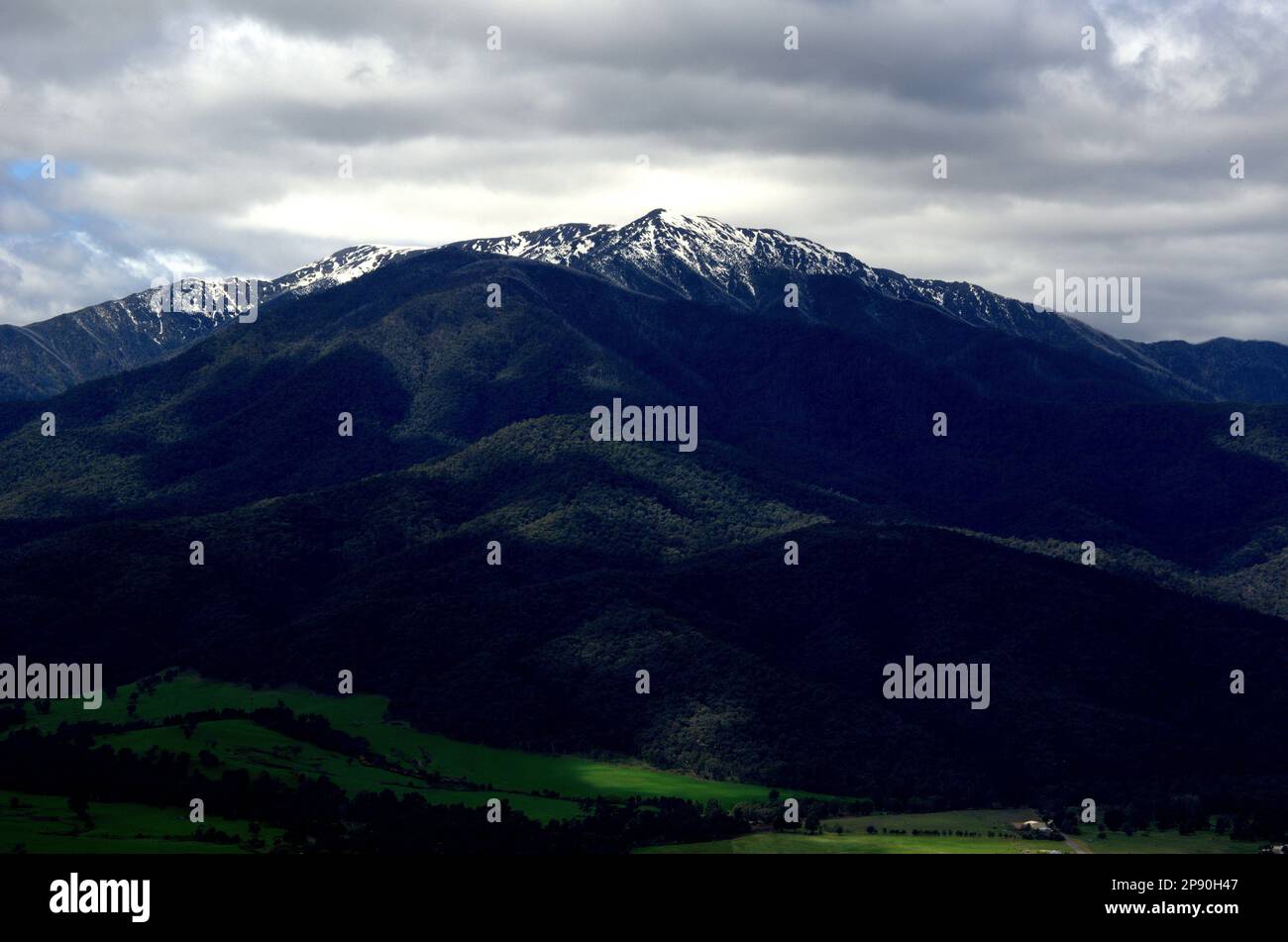 Bogong hi-res stock photography and images - Alamy