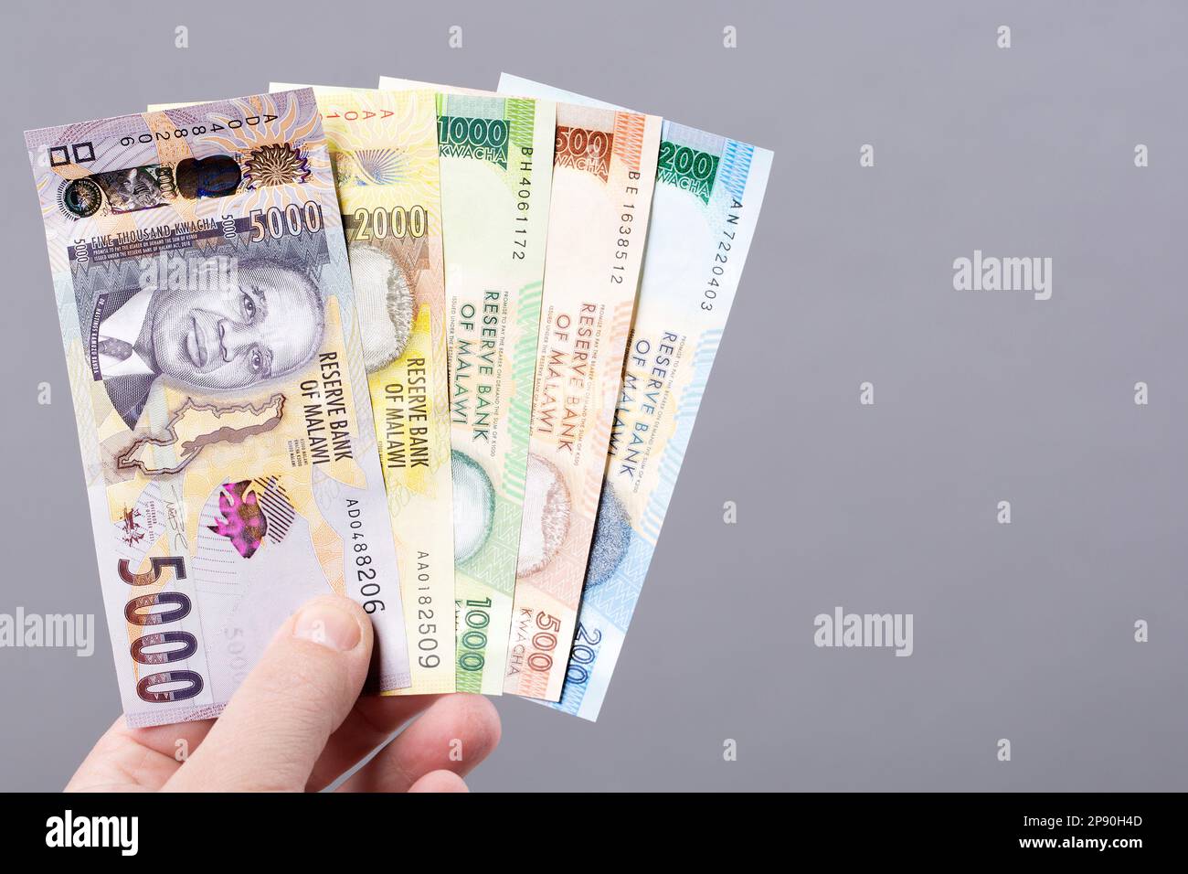 Malawian money - kwacha on gray background Stock Photo - Alamy