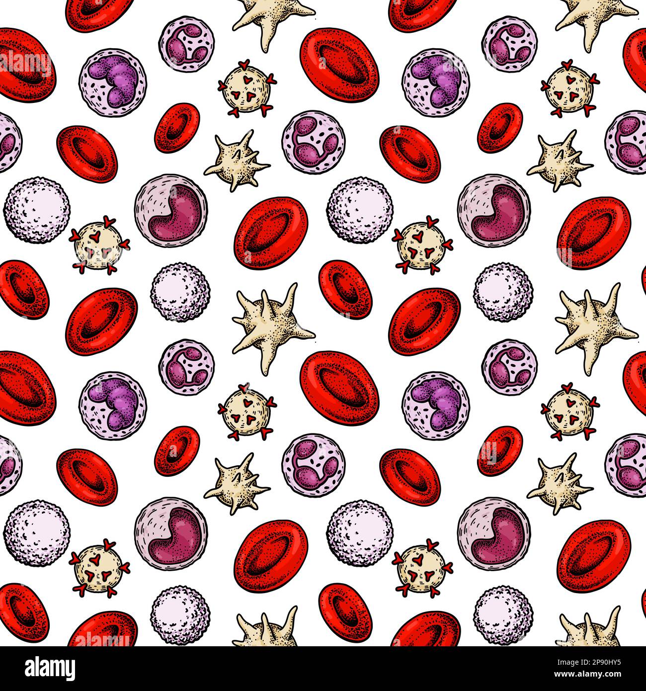 Blood cells seamless pattern. Hand drawn erythrocytes, leukocytes and ...