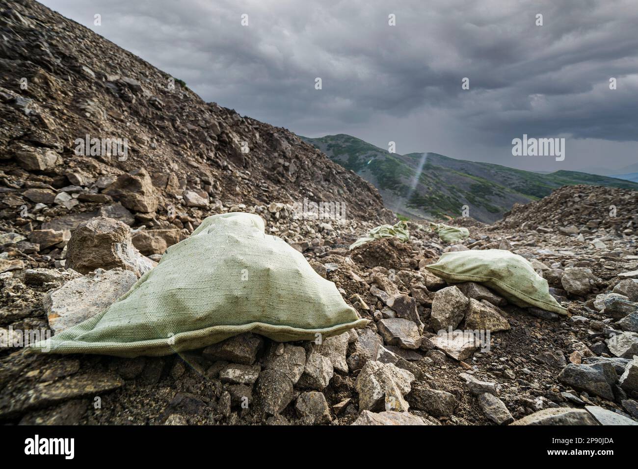 Soil Test. Agronomist putting soil with garden shovel in soil sample ...