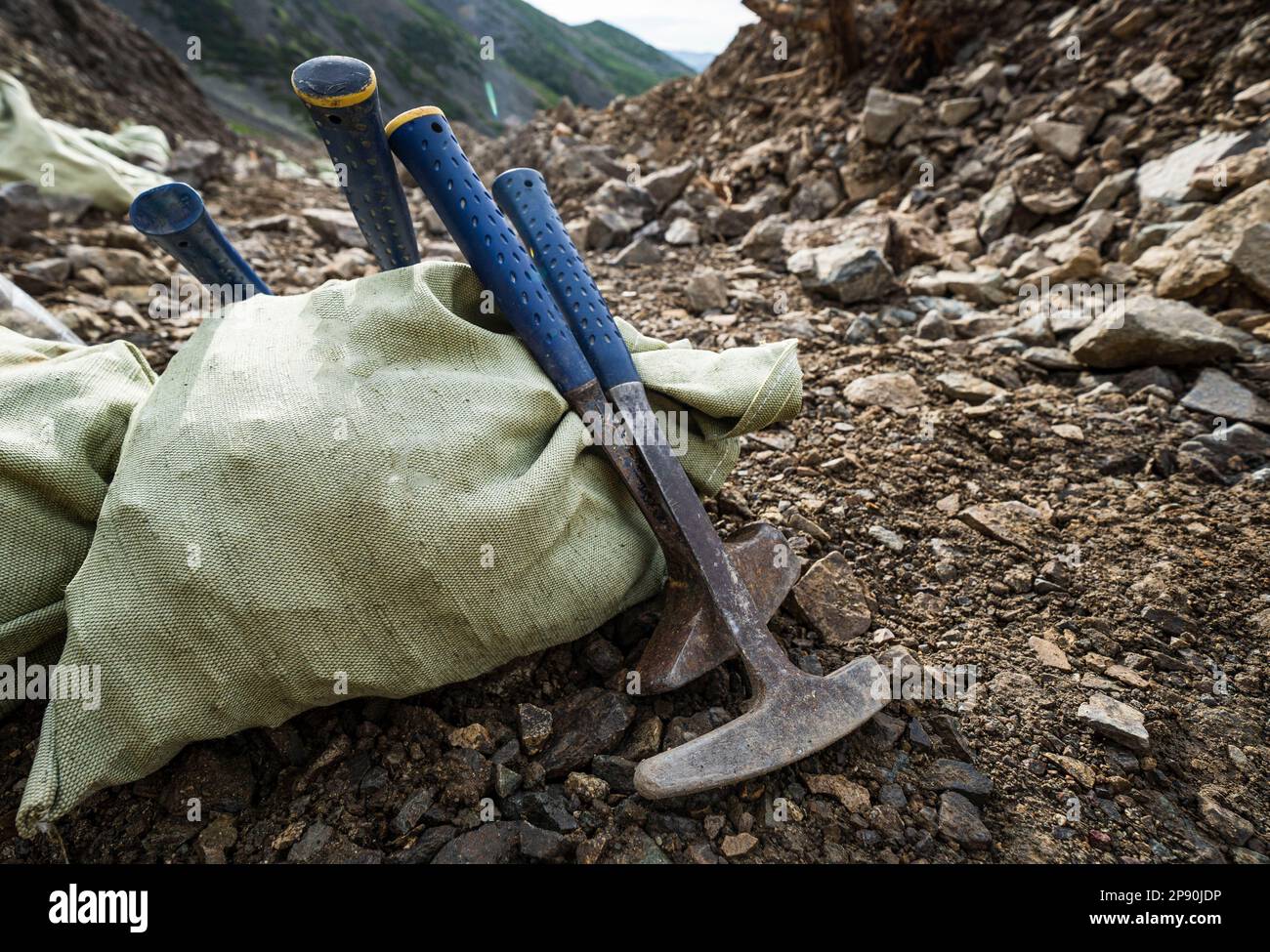 Soil Test. Agronomist putting soil with garden shovel in soil sample ...