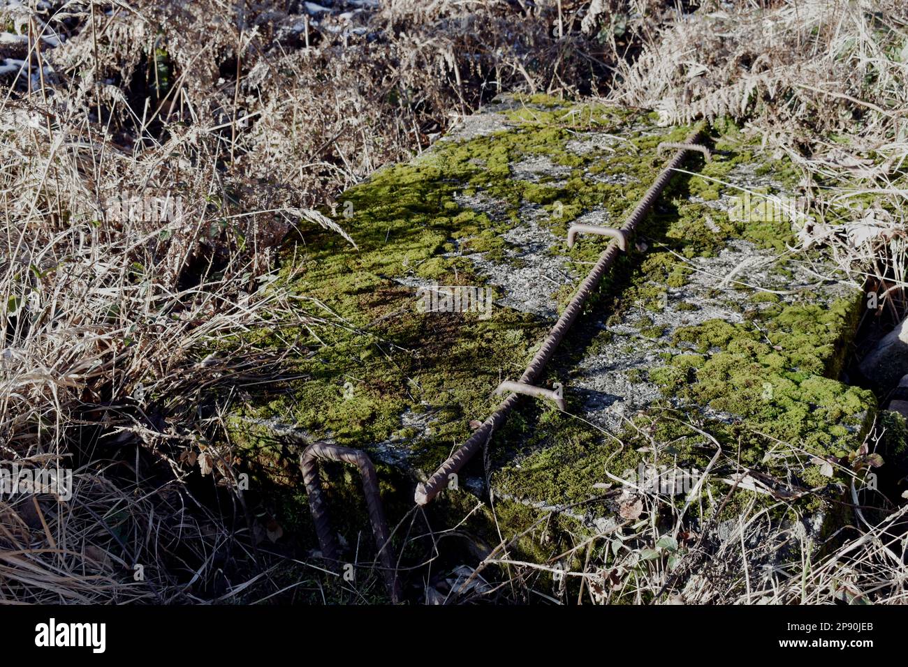 Eyewitnesses Wrecked Wehrmacht bunker Ruins of an old position in the ...