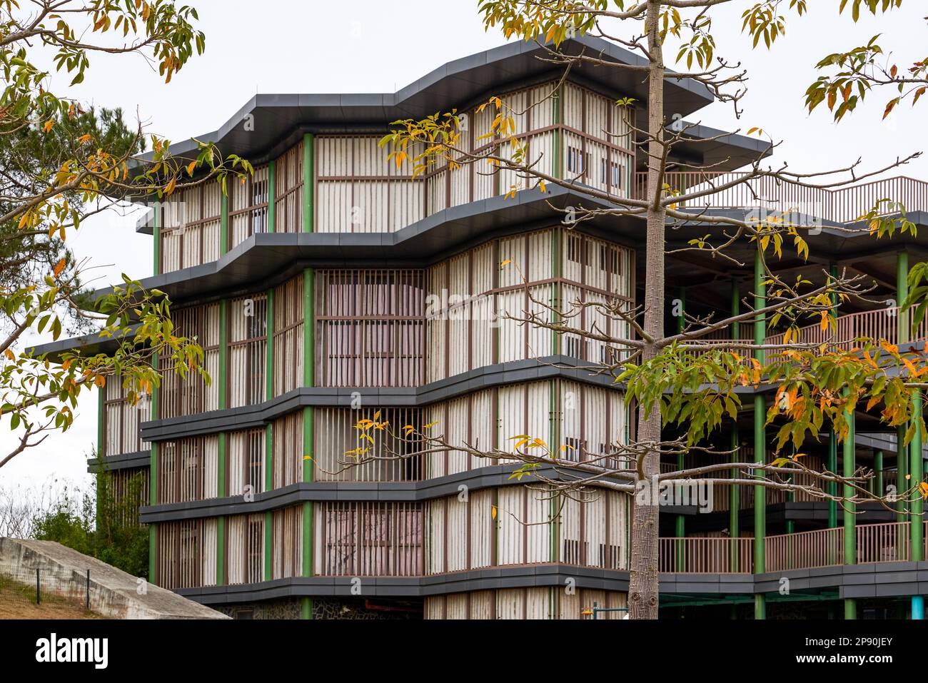 Jungle boom hi-res stock photography and images - Alamy