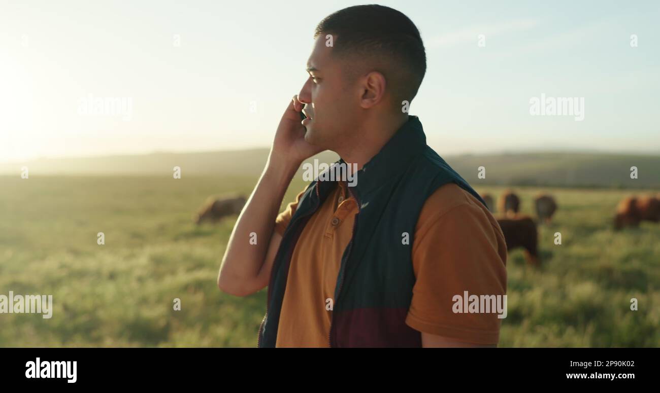 Agriculture, farm and farmer phone call talking or planning eco ...