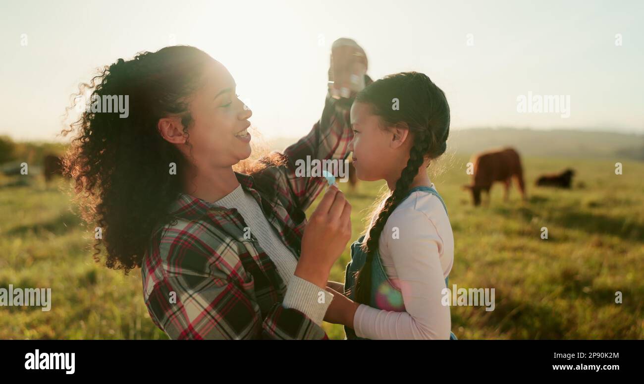 Cows, farm and mother bonding with child, fixing hair clip and standing ...
