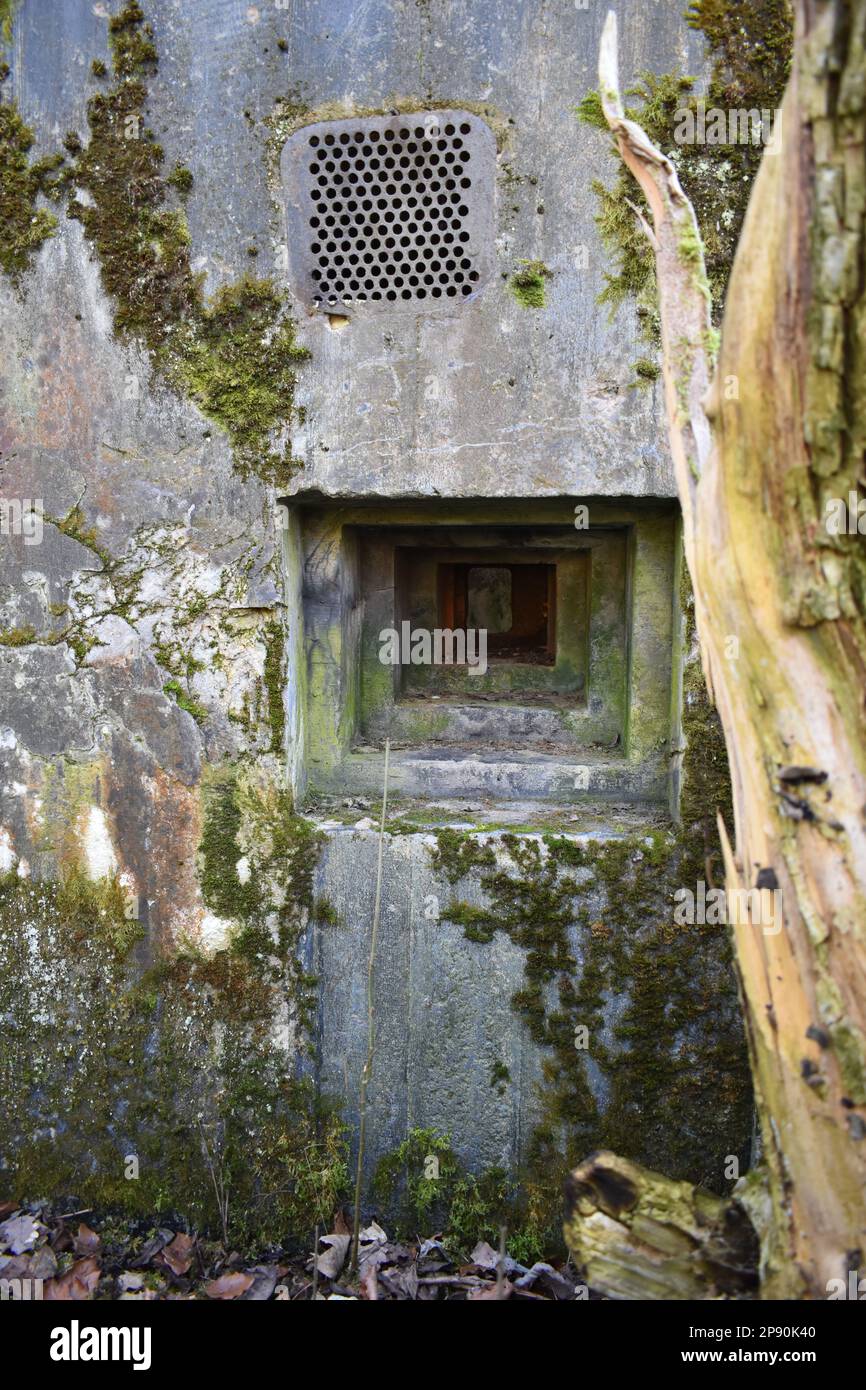 Eyewitnesses Wrecked Wehrmacht bunker Ruins of an old position in the ...
