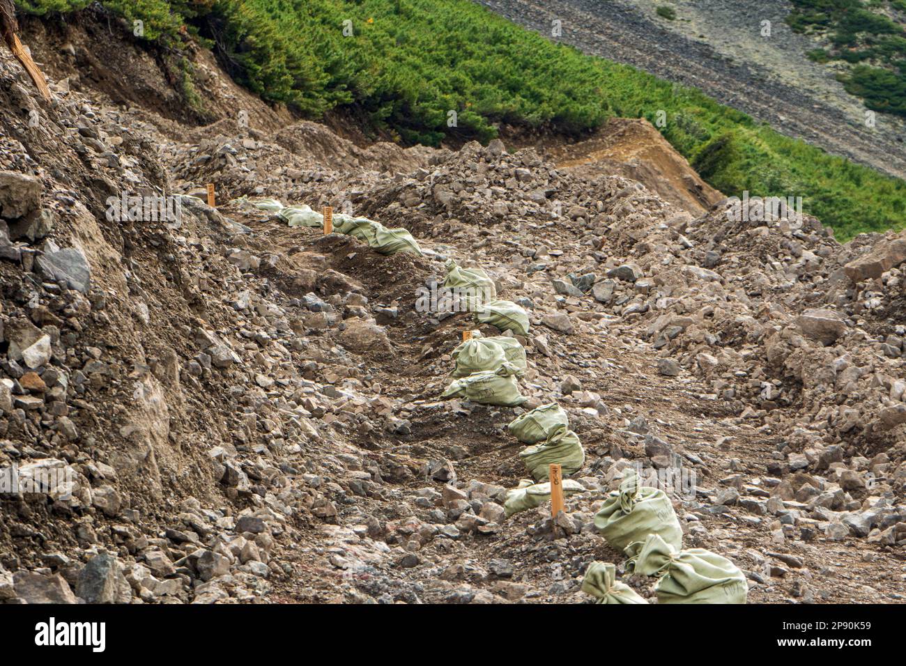 Soil Test. Agronomist putting soil with garden shovel in soil sample ...